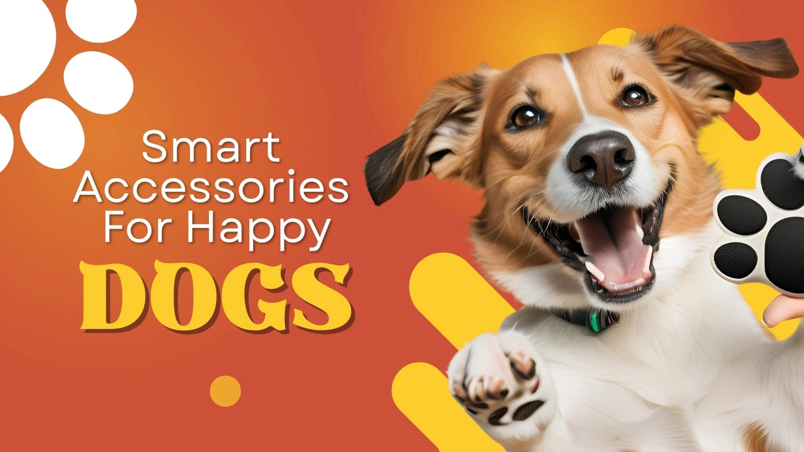 Dog Accessories & Essentials | Smart Gear for Happy Dogs 🐶| Free UK ...
